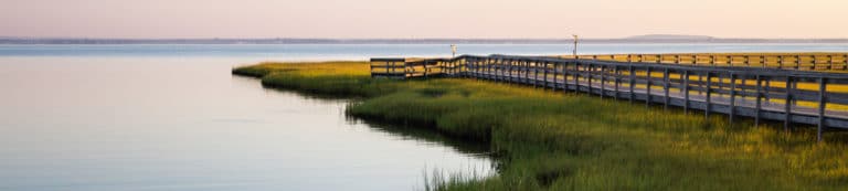 A Guide to Bike Riding on Fire Island - Fire Island